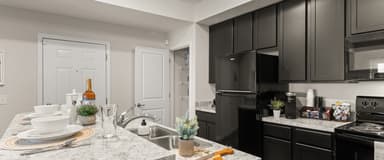 Powell Apartments for Rent | 1-3 BR | Ardent Communities
